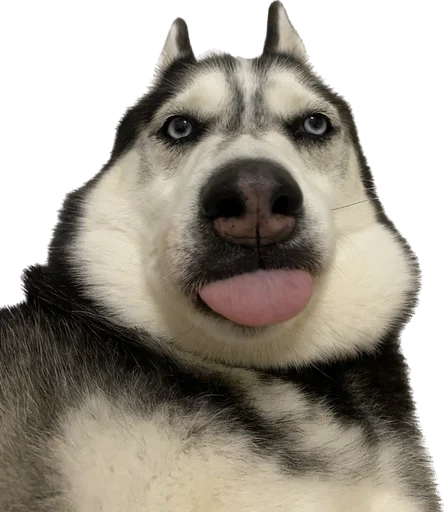 14 Telegram Sticker 😞 from «Lovehound» pack