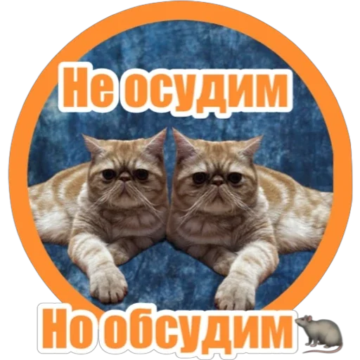 Фокс Telegram stickers