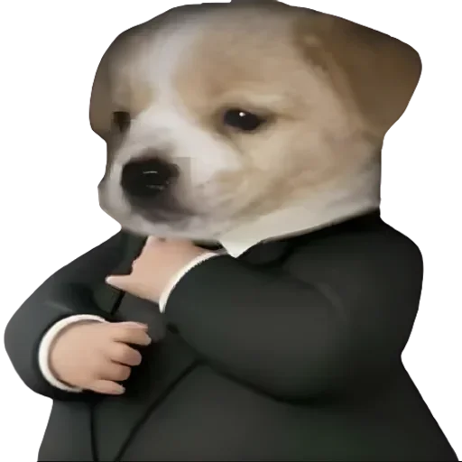 Animals Telegram stickers