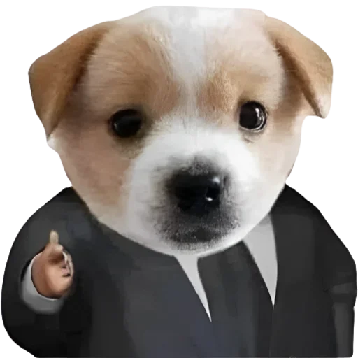 Animals Telegram stickers