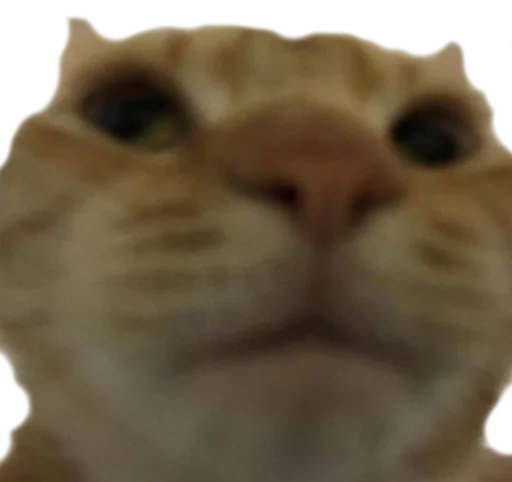 Kuromi Animated telegram stickers