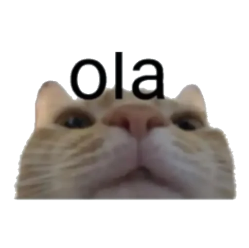 Pablo Telegram stickers