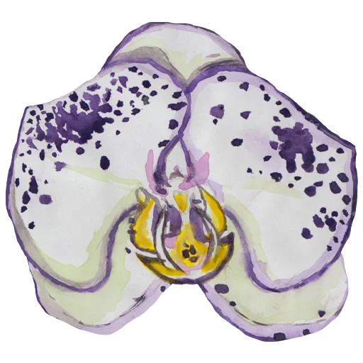 18 Telegram Sticker 🌸 from «Flowers» pack