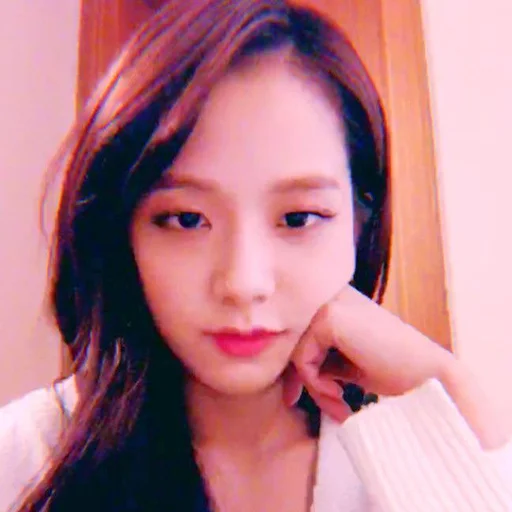 22 Telegram Sticker 🩰 from «jisoo kim» pack